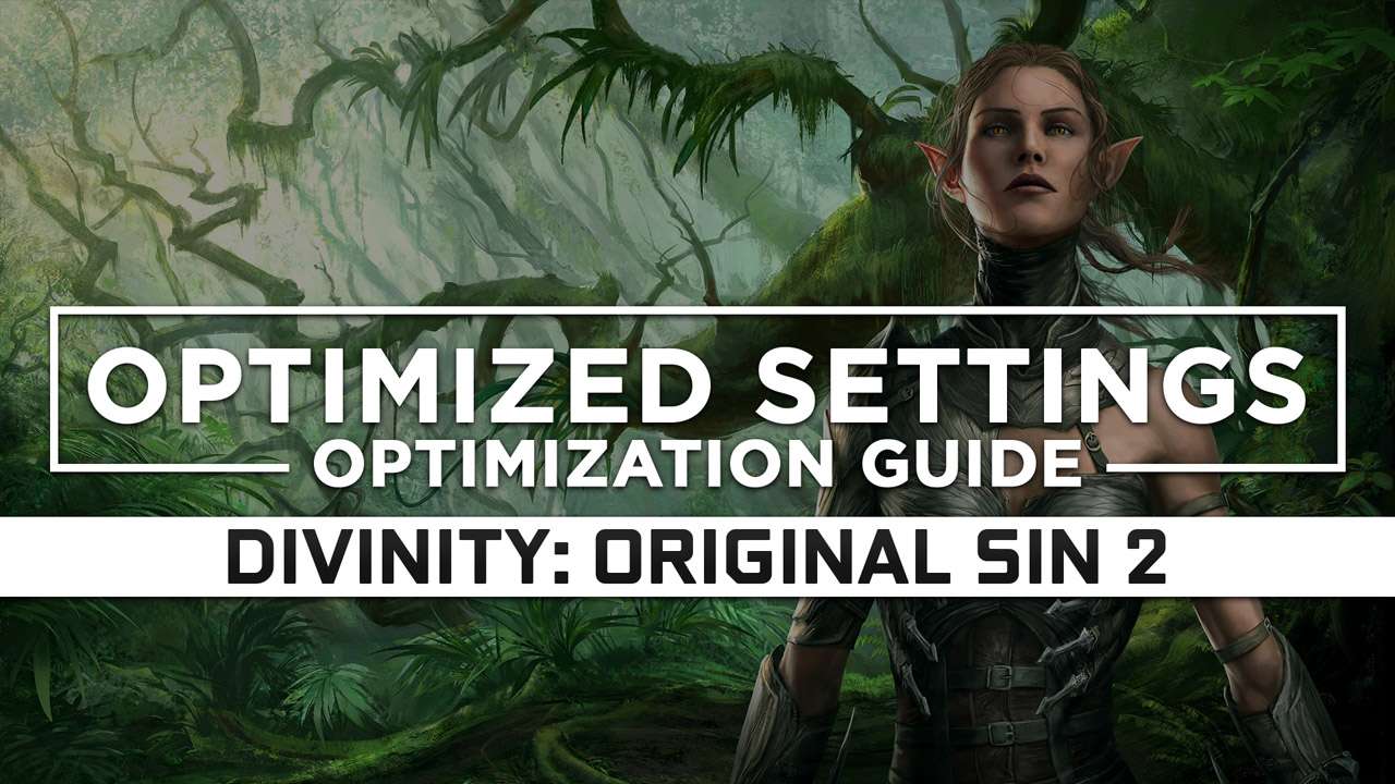 Divinity: Original Sin 2 — Optimized PC Settings for Best Performance ...